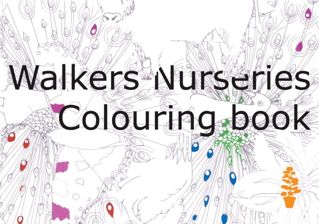 Family Activities - Walkers Nurseries